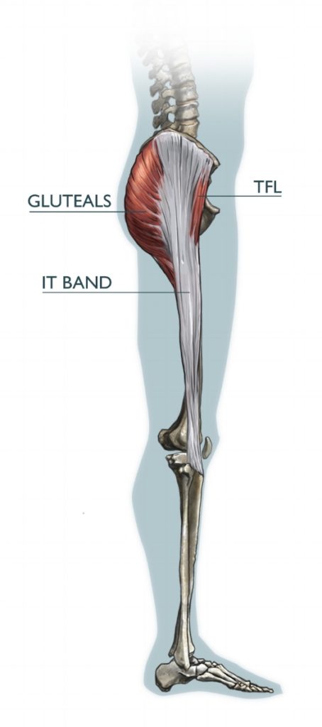 Clamshells: What are they good for? - Pilates Process Hip Tightness Relief